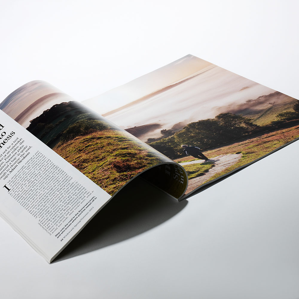 Print Solutions - Celeritas